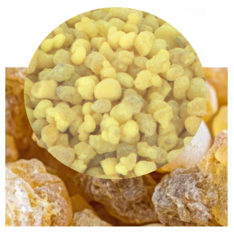 Frankincense Resin: Aromatic and Medicinal Treasures | Shaman Australis ...