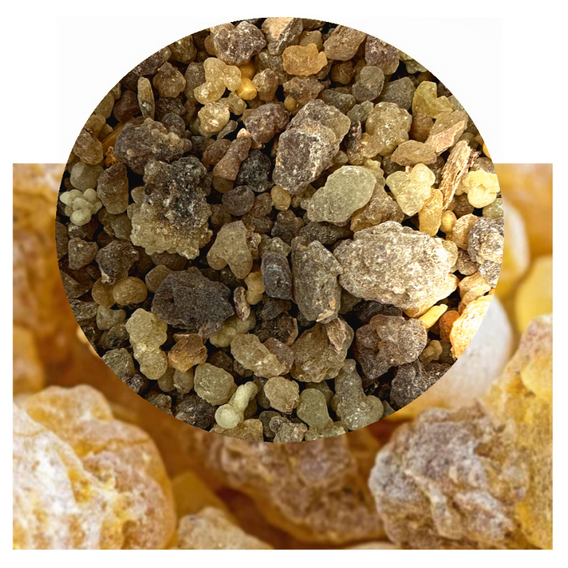 Frankincense Resin: Aromatic and Medicinal Treasures | Shaman Australis ...