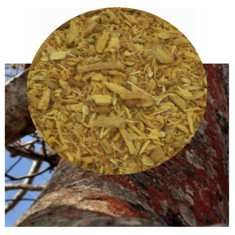 Experience the Benefits of Palo Santo Wood Chips for Wellness | Shaman ...