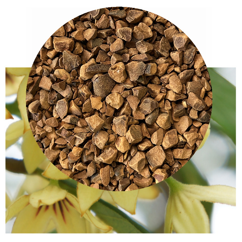 Kola Nut Dried Nut Granules: Natural Stimulant and Digestion Aid ...