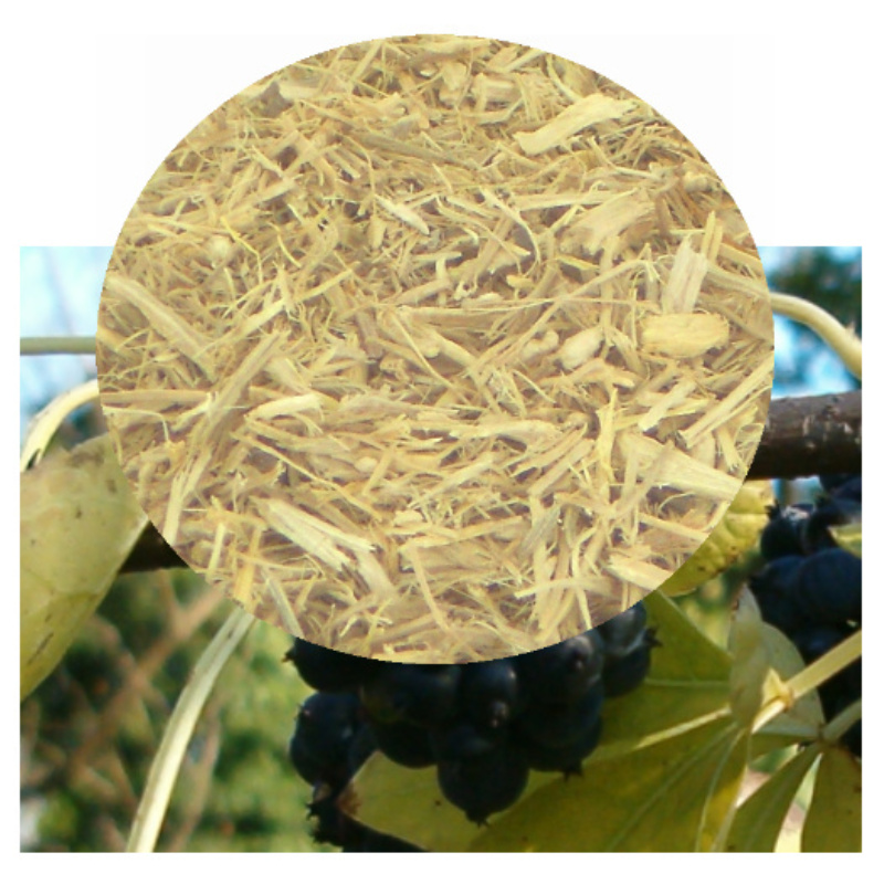 Siberian Ginseng Dried Root for Stress Relief Today | Shaman Australis ...