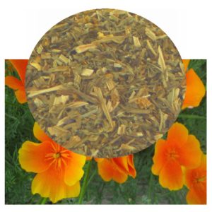 Discover the Benefits of Eschscholzia californica California Poppy ...