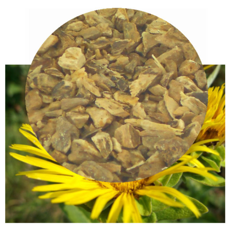 Inula helenium (Elecampane) Dried Root Pieces | Shaman Australis Botanicals