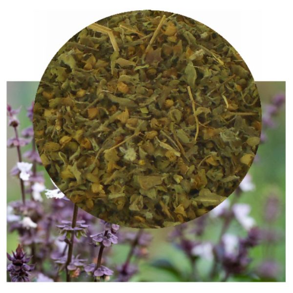 Ocimum sanctum Organic (Tulsi; Holy Basil) Dried Leaf | Shaman ...