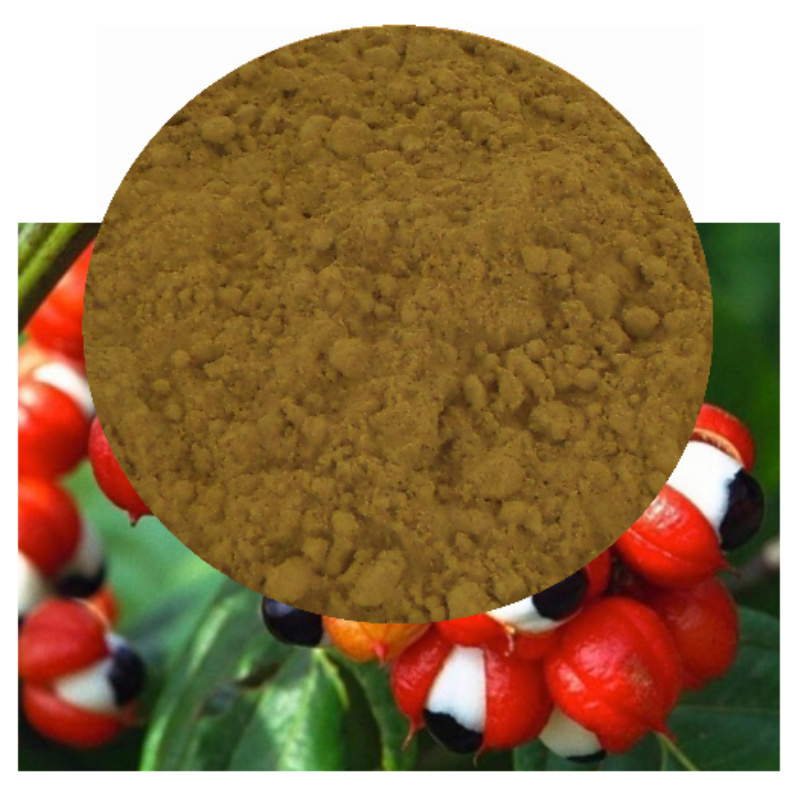 Get Energized with Guarana Powder - Powerful and Sustained | Shaman ...