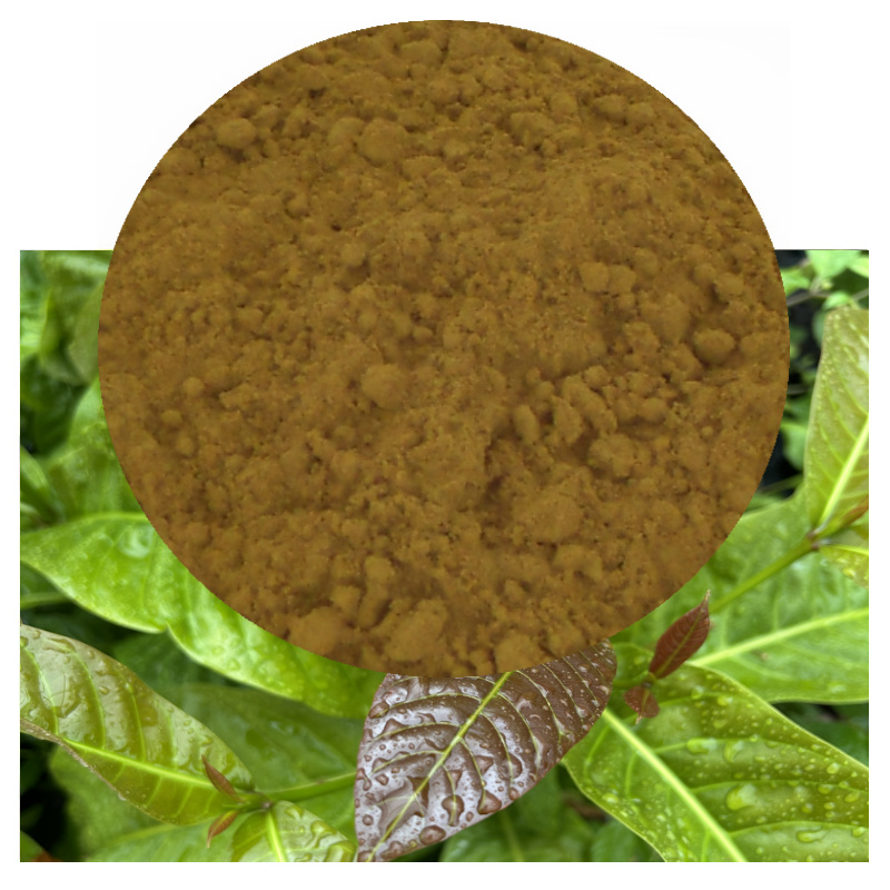 Yohimbe Bark Powder: The Medically Recognized Aphrodisiac | Shaman ...
