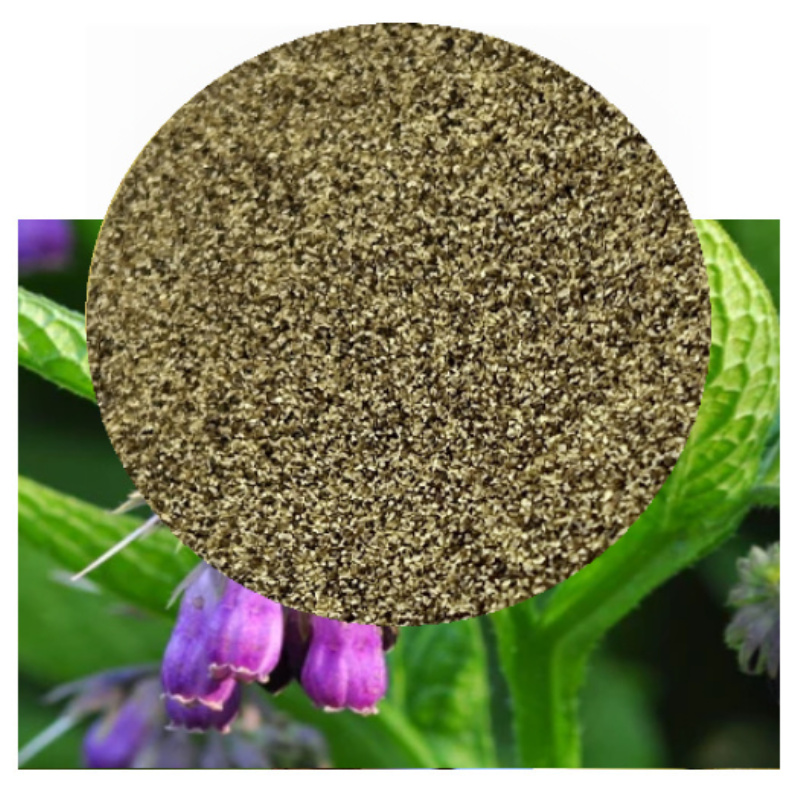 Promote Healing with Organic Comfrey Root Powder | Shaman Australis ...