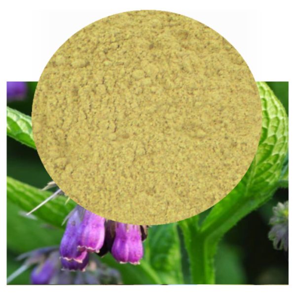 Promote Healing with Organic Comfrey Root Powder | Shaman Australis ...