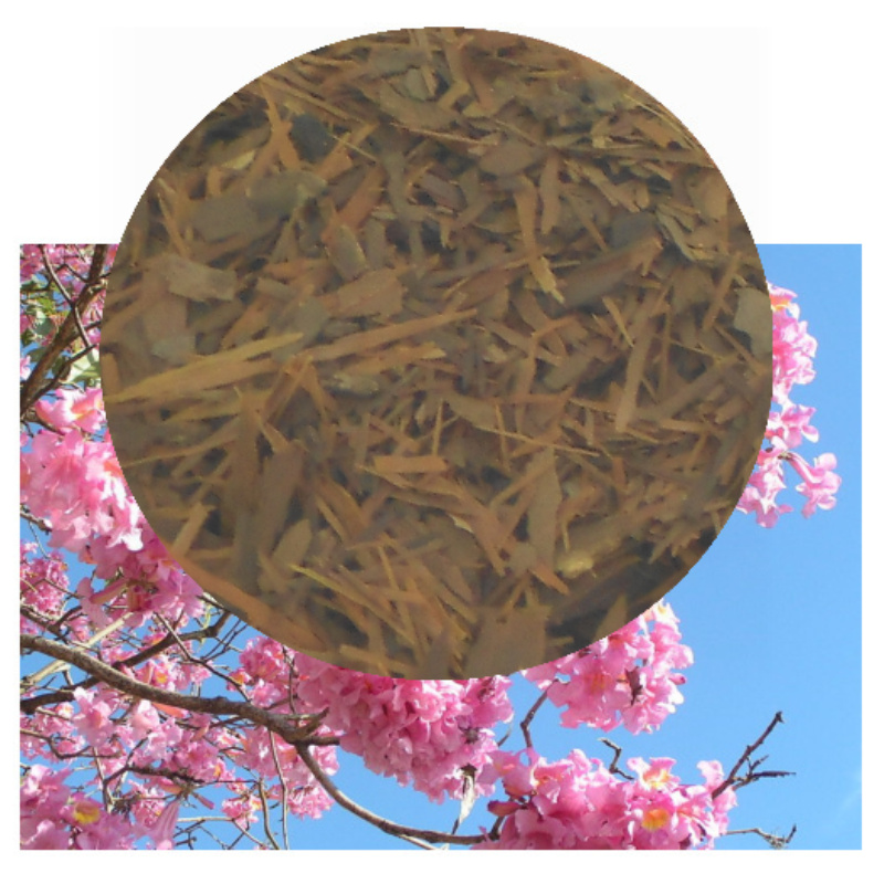 Tabebuia avellanedae (Pau D'Arco) Dried Shredded Bark 40g | Shaman ...