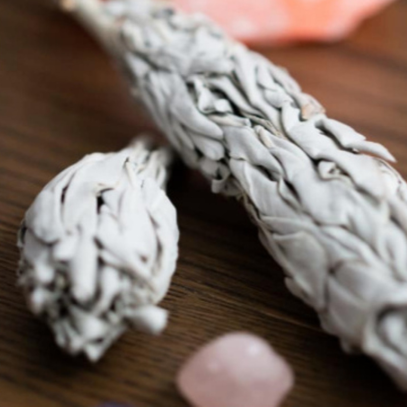 Organic Grandfather White Sage Smudge Stick | Shaman Australis Botanicals