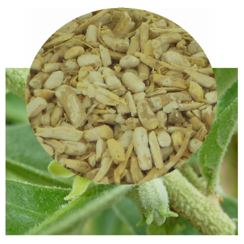 Ashwagandha root: The Powerful Herb for Calmness and Wellness | Shaman ...
