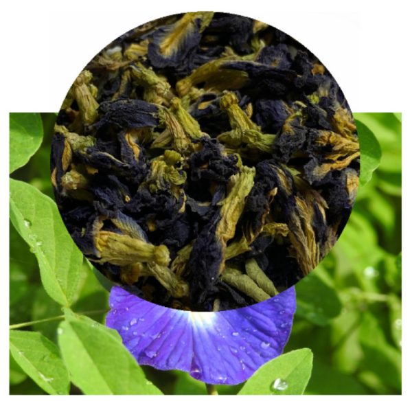 Clitoria ternatea (Butterfly Pea): Easy-to-Grow Edible Blue Flowers ...