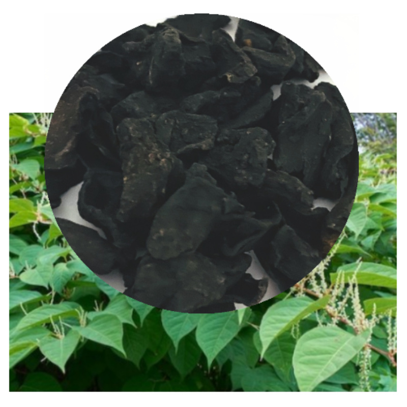 Discover the Benefits of Fallopia multiflora Fo-ti for Anti-Aging