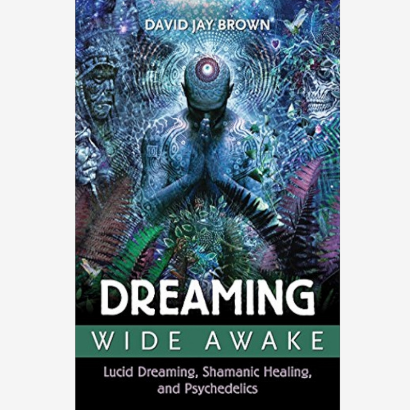 Dreaming Wide Awake: Master Lucid Dreaming Today | Shaman Australis ...