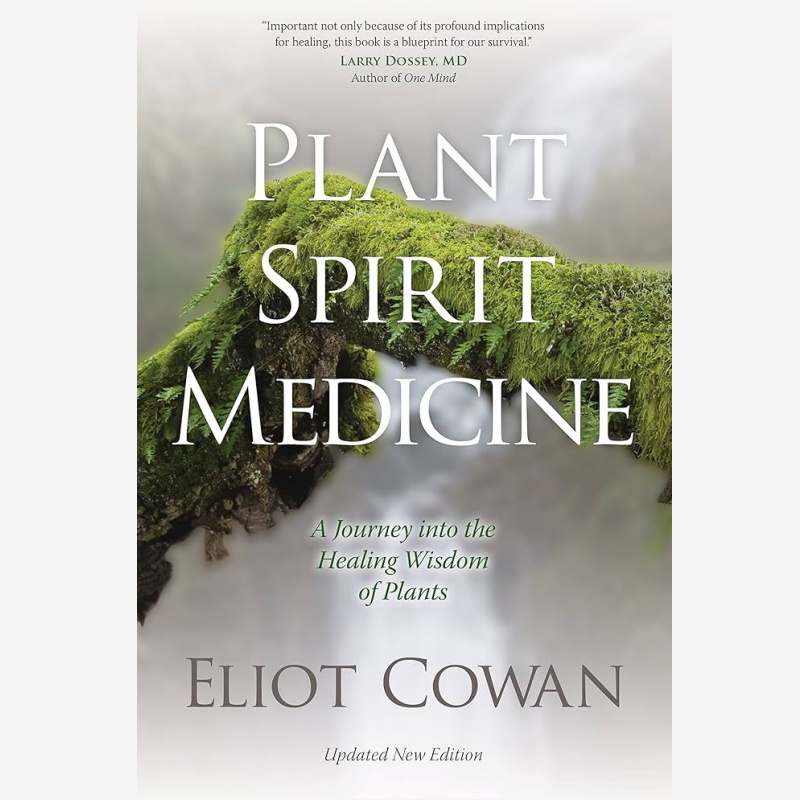 Plant Spirit Medicine: Discover Nature's Healing Gifts | Shaman ...